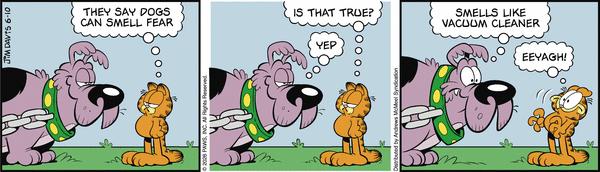 Garfield 06 10 2026 - Daily Comics